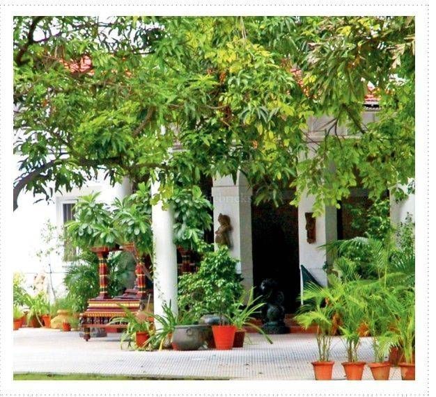 Construction near trees needs several precautions