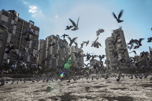 Aslali, Ahmedabad: Map, Property Rates, Projects, Photos, Reviews, Info