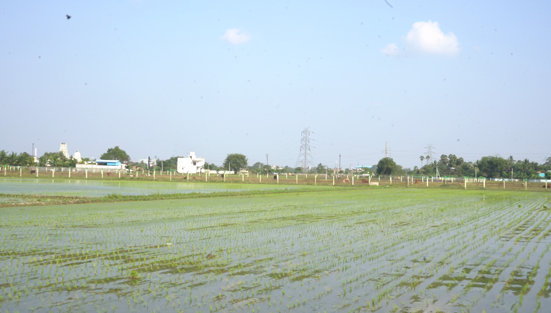 Nemam: Located close to Bengaluru-Chennai Industrial Corridor