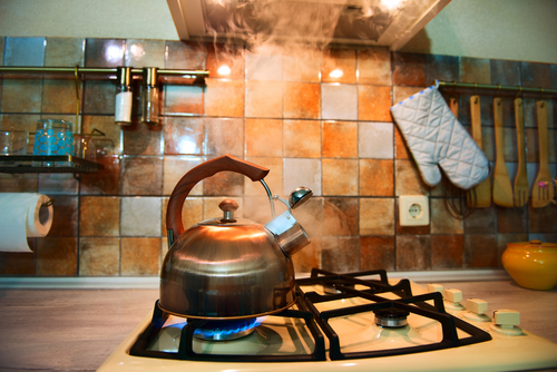 17 Best Lavish Kitchen Design Ideas in 2023