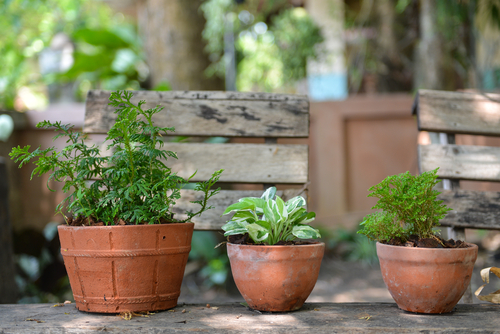 15 Unique Flower Pot Design Ideas for Your Garden - Magicbricks Blog