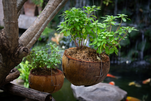 15 Unique Flower Pot Design Ideas for Your Garden - Magicbricks Blog