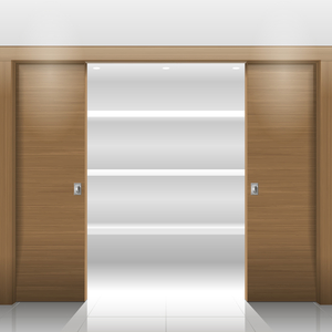 15 Main Hall Double Door Design Ideas for Your Home