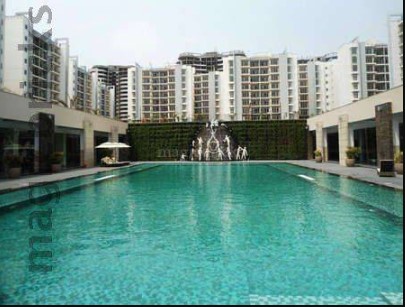 Grand Omaxe Noida: All You Need to Know [With Latest Updates on Demolition]