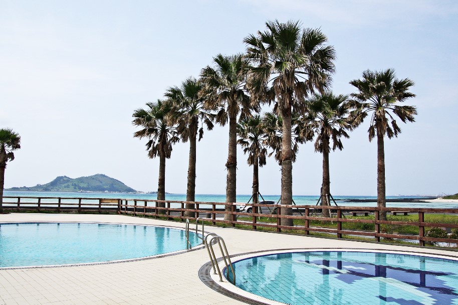 9 Contemporary Swimming Pool Designs to Indulge In