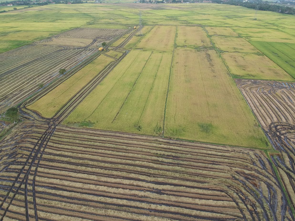 CG Bhuiya 2022-23: Check Chhattisgarh Land Records Online @bhuiyan.cg ...