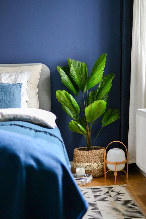 Palm Tree in House Vastu - Benefits, Types, Caution & Decor Inspiration