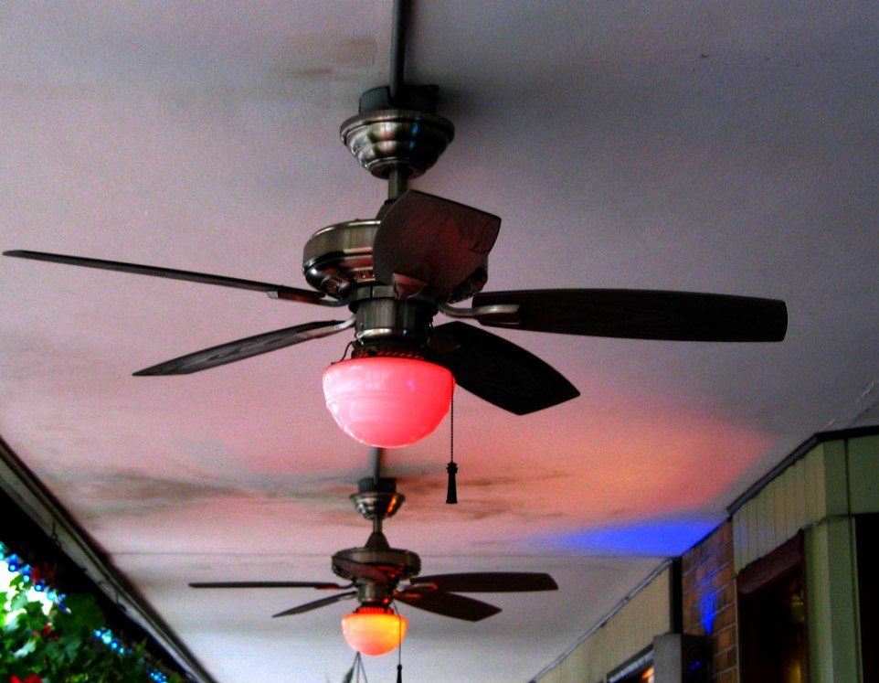 Latest Fan Designs of 2023 for Your Home - That Stand Out!