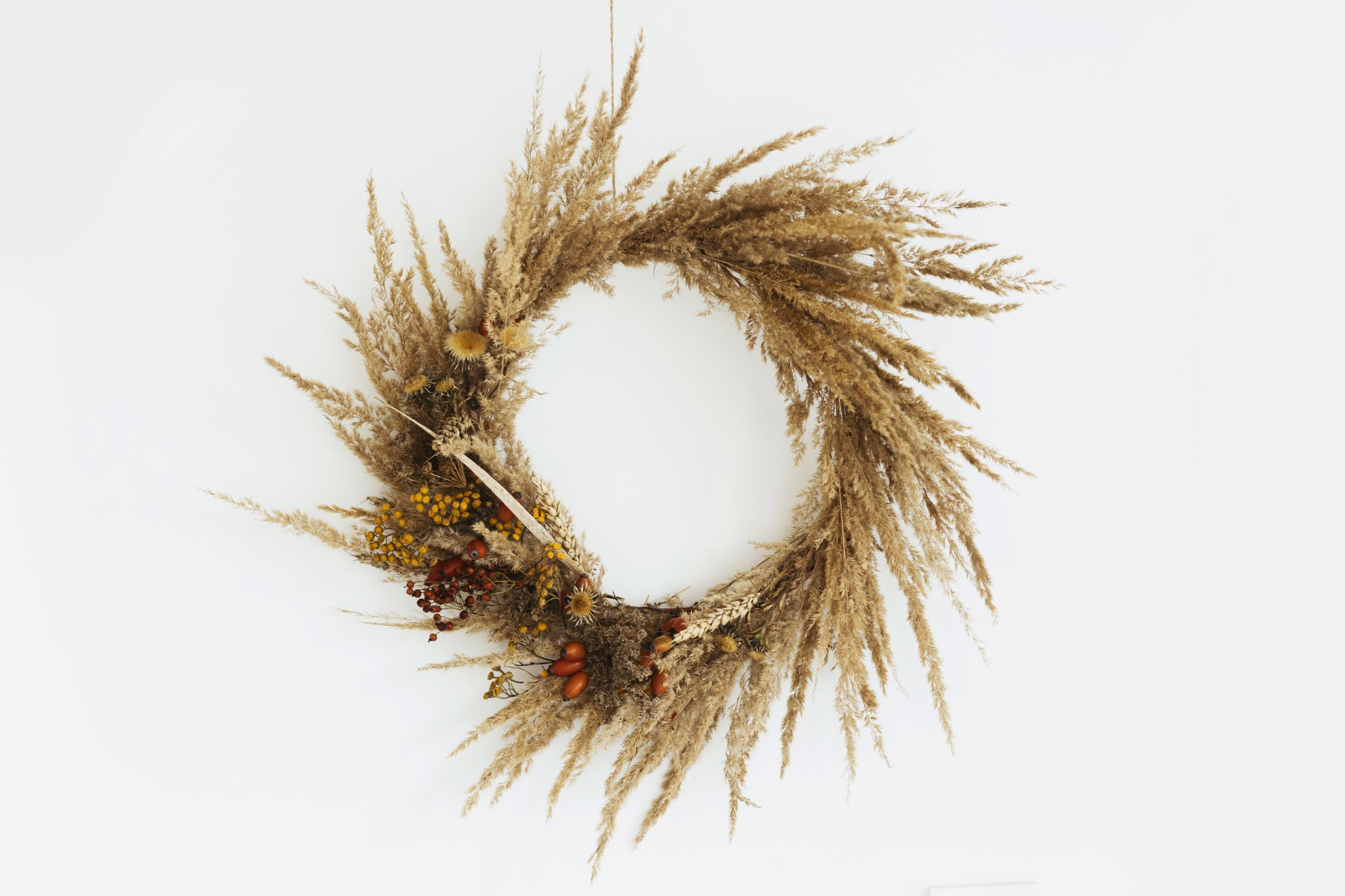 Pampas Grass Decor - Meaning, Uses, and Decoration Ideas