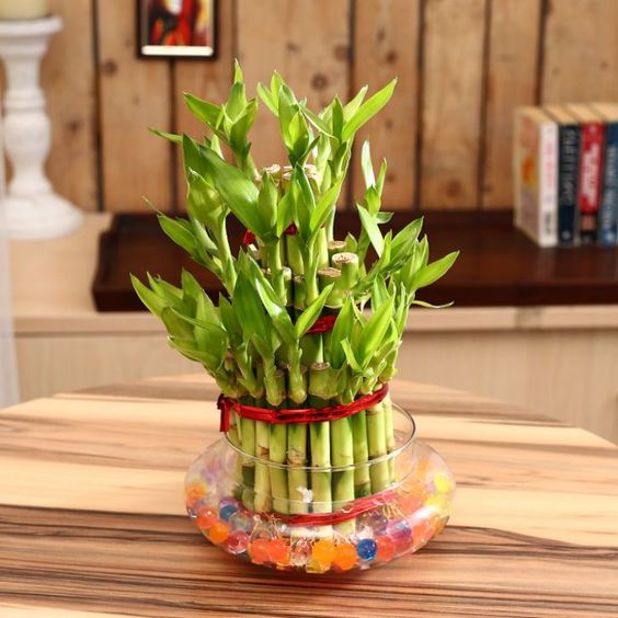 Feng Shui Interior Design Tips to Decorate your House