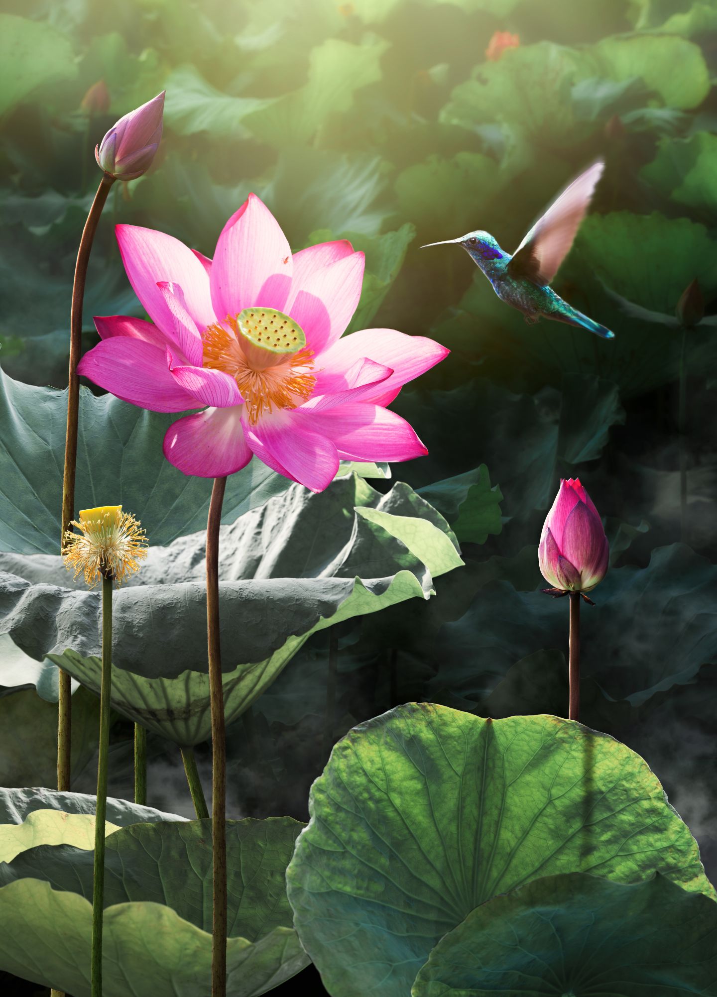 Flower Painting Feng Shui | Best Flower Site