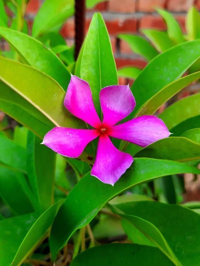 ITO Metro Station Delhi - Facts, Facilities & Nearby Landmarks