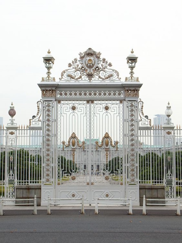 Doubledoor Grill Gate Design For Main Door For Your Home