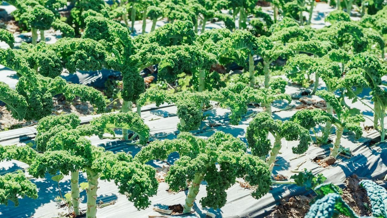 20 Amazing 𝐎𝐟𝐟𝐢𝐜𝐞 𝐏𝐚𝐢𝐧𝐭 𝐂𝐨𝐥𝐨𝐮𝐫𝐬 for 2025: Office Colour Ideas