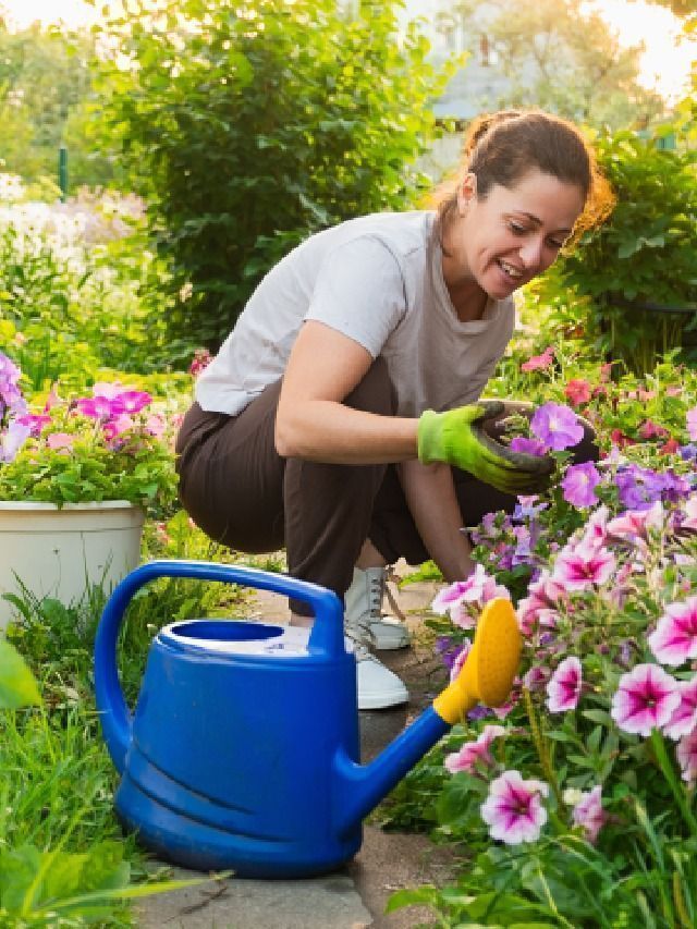 𝐀𝐢𝐫𝐩𝐨𝐫𝐭𝐬 𝐈𝐧 𝐔𝐭𝐭𝐚𝐫 𝐏𝐫𝐚𝐝𝐞𝐬𝐡 - Domestic And International