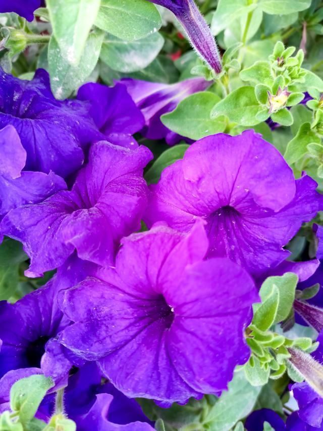 𝐅𝐍𝐆 𝐄𝐱𝐩𝐫𝐞𝐬𝐬𝐰𝐚𝐲 - Route Map, Master Plan, Status & More