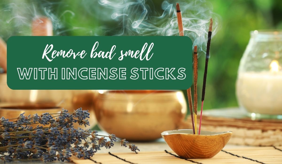 10 Pocket Friendly Ways to Make Your House Smell Amazing