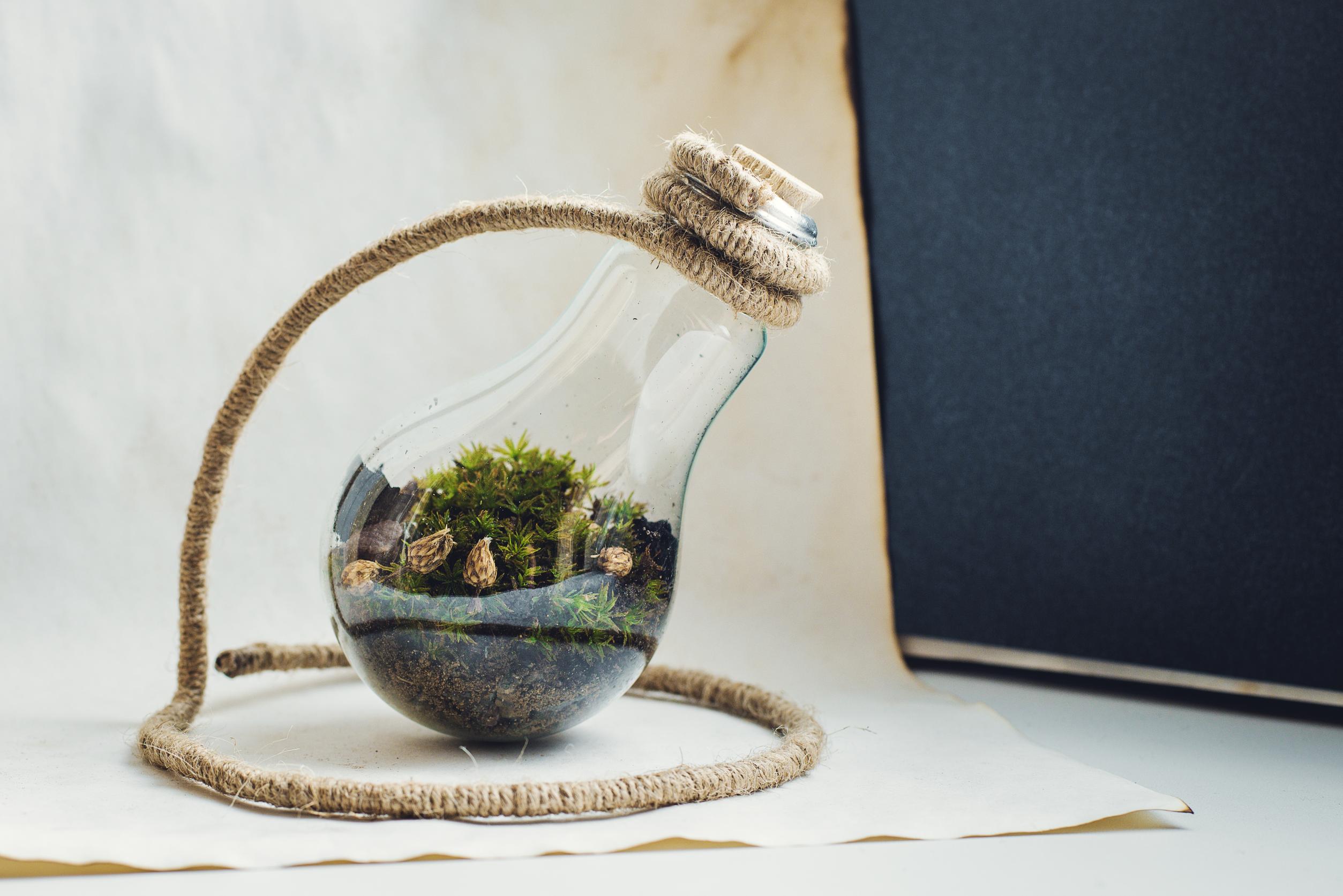 Bright Ideas - Creative Ways to Reuse Old Bulbs in Home Decor