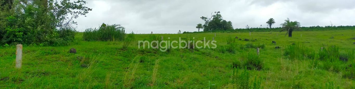 Karandi Hills in Bhor, Pune: Price, Brochure, Floor Plan, Reviews