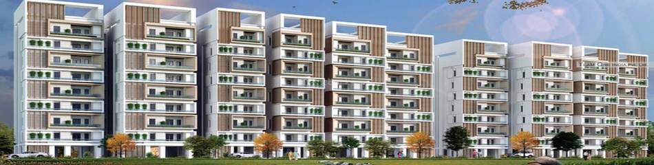 Result Page 8 of 1307 for Projects in Hyderabad