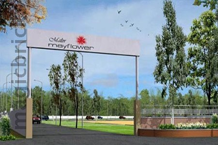 Malur Mayflower in Malur, Kolar: Price, Brochure, Floor Plan, Reviews