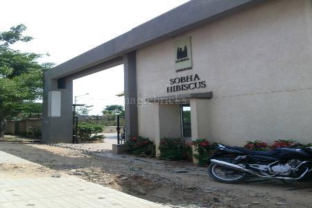 Sobha Daisy in Ring Road, Bangalore: Price, Brochure, Floor Plan, Reviews