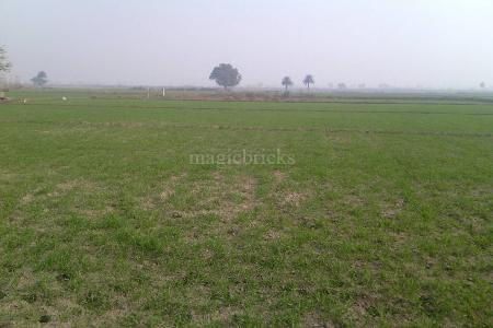 Ansal Megapolis in Pari Chowk, Greater Noida: Price, Brochure, Floor ...