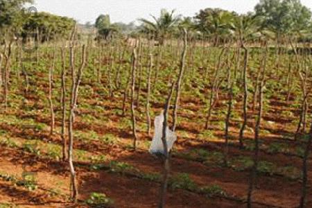 Titan Township Hosur in Mathigiri, Hosur: Price, Brochure, Floor Plan ...