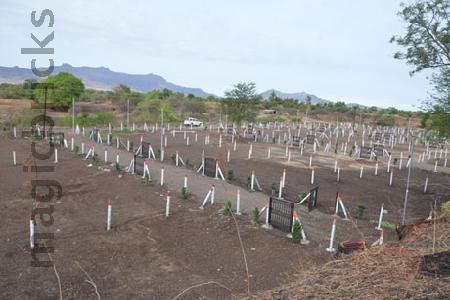 Royal Purandar in Saswad Road, Pune: Price, Brochure, Floor Plan, Reviews