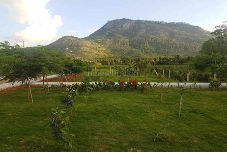 Nandi Magnolia in Nandi Hills, Bangalore: Price, Brochure, Floor Plan ...