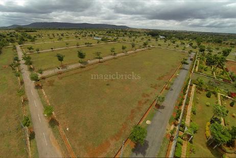 East Facing Plots in Hadjana, Mysore: East Facing Plots for Sale in Hadjana