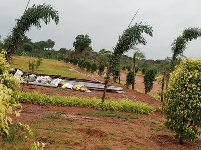 Samooha Green Pharma One in Yacharam, Hyderabad: Price, Brochure, Floor ...