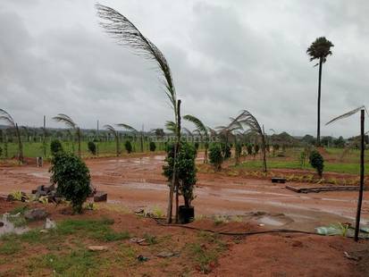 Samooha Green Pharma One in Yacharam, Hyderabad: Price, Brochure, Floor ...