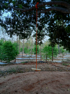 USM My City Go Ranch Farm in Aler, Nalgonda: Price, Brochure, Floor ...