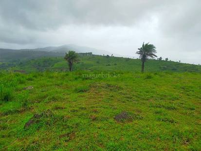Agricultural & Farm Land for Sale in Pune | MagicBricks