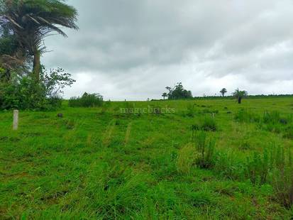 Karandi Hills in Bhor, Pune: Price, Brochure, Floor Plan, Reviews