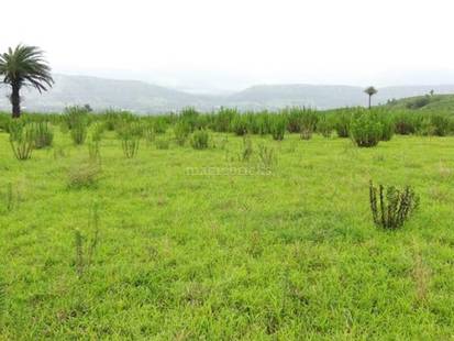 Karandi Hills in Bhor, Pune: Price, Brochure, Floor Plan, Reviews