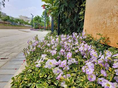 Nandi Citadel in Bannerghatta Road, Bangalore: Price, Brochure, Floor ...