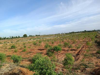 Sree Maruthinagar Sandal Tree Plantation Plots in Shadnagar, Hyderabad ...