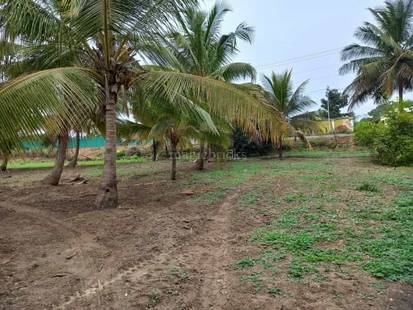Tamara in Madampatti, Coimbatore: Price, Brochure, Floor Plan, Reviews