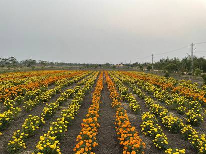 CK Infini Atmos Breathe in Maheshwaram, Hyderabad: Price, Brochure ...