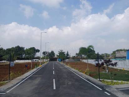 Palm Tree Price, Plot/Land & Properties for sale near Palm Tree, Chennai