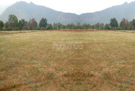 Solarism in Dahej, Bharuch: Price, Brochure, Floor Plan, Reviews