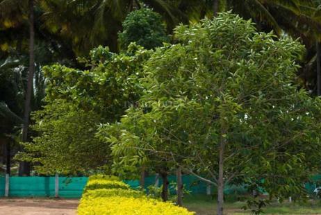 Aspen Green Garden Phase III in Thondamuthur, Coimbatore: Price ...
