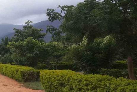 Aspen Green Garden Phase III in Thondamuthur, Coimbatore: Price ...