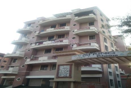 Spring Bloom in Bhagwan Tatyasaheb Kawade Road, Pune: Price, Brochure ...
