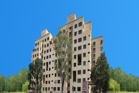 Treedom Park in Vishrantwadi, Pune: Price, Brochure, Floor Plan, Reviews