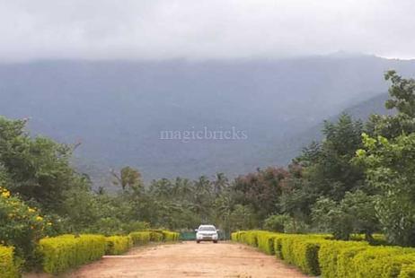 Aspen Green Garden Phase III in Thondamuthur, Coimbatore: Price ...
