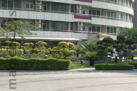 Omaxe Twin Tower in Sector 50, Noida: Price, Brochure, Floor Plan, Reviews