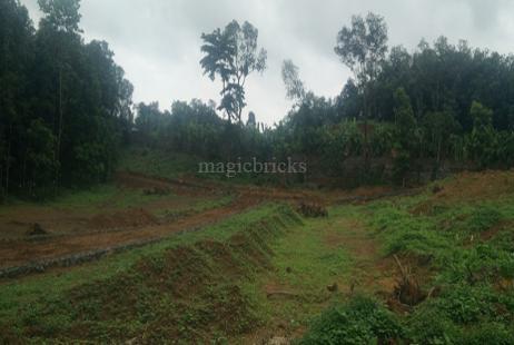 Green Nature in Kakkanad, Kochi: Price, Brochure, Floor Plan, Reviews